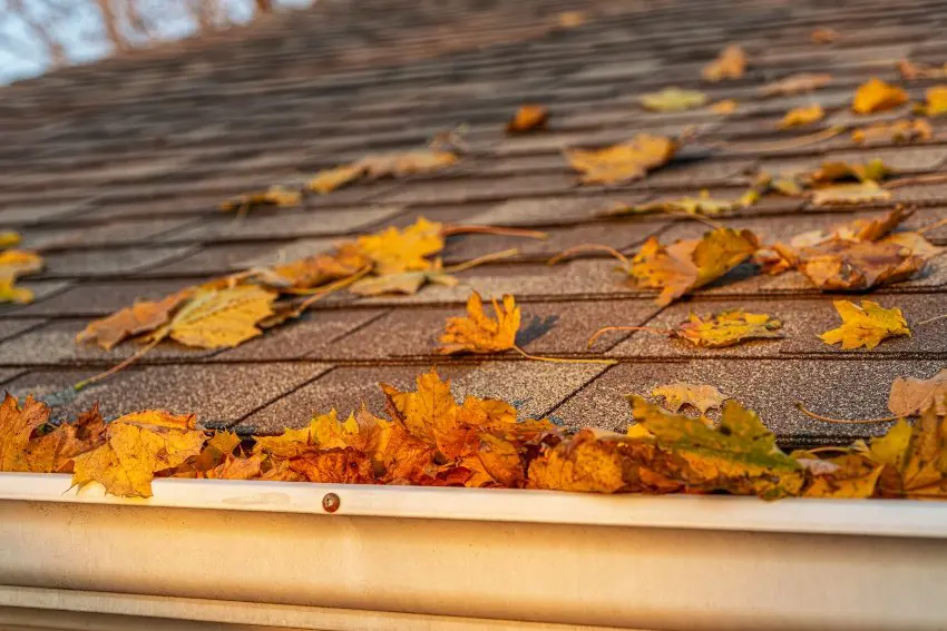 Preparing Your Roof for Fall: Essential Maintenance Tips — Titan Roofing